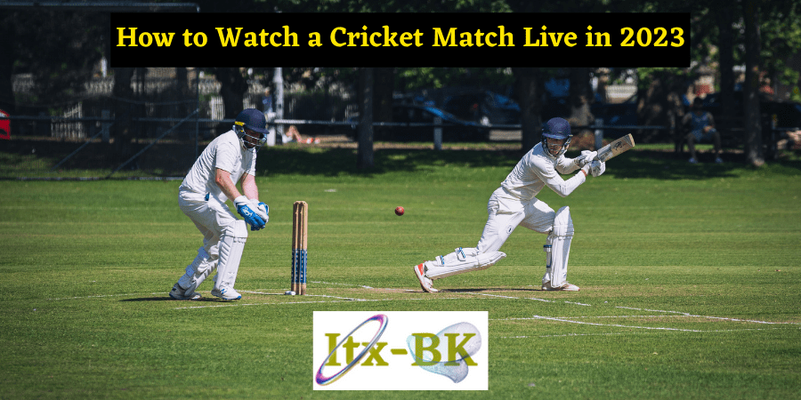 How to watch a Cricket Match Live in 2023
